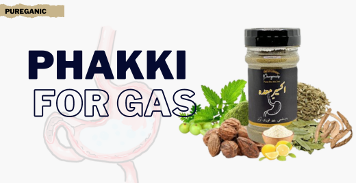 Digestive Concerns and Organic Solutions - Explore Pureganics' Akseer